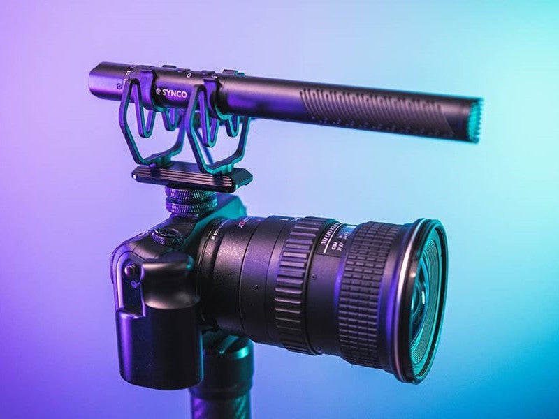 Cardioid mic: Guide to definition, characteristics, placement, and use ...